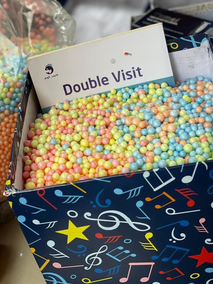 سعر كتاب Double Visit - Double Visit